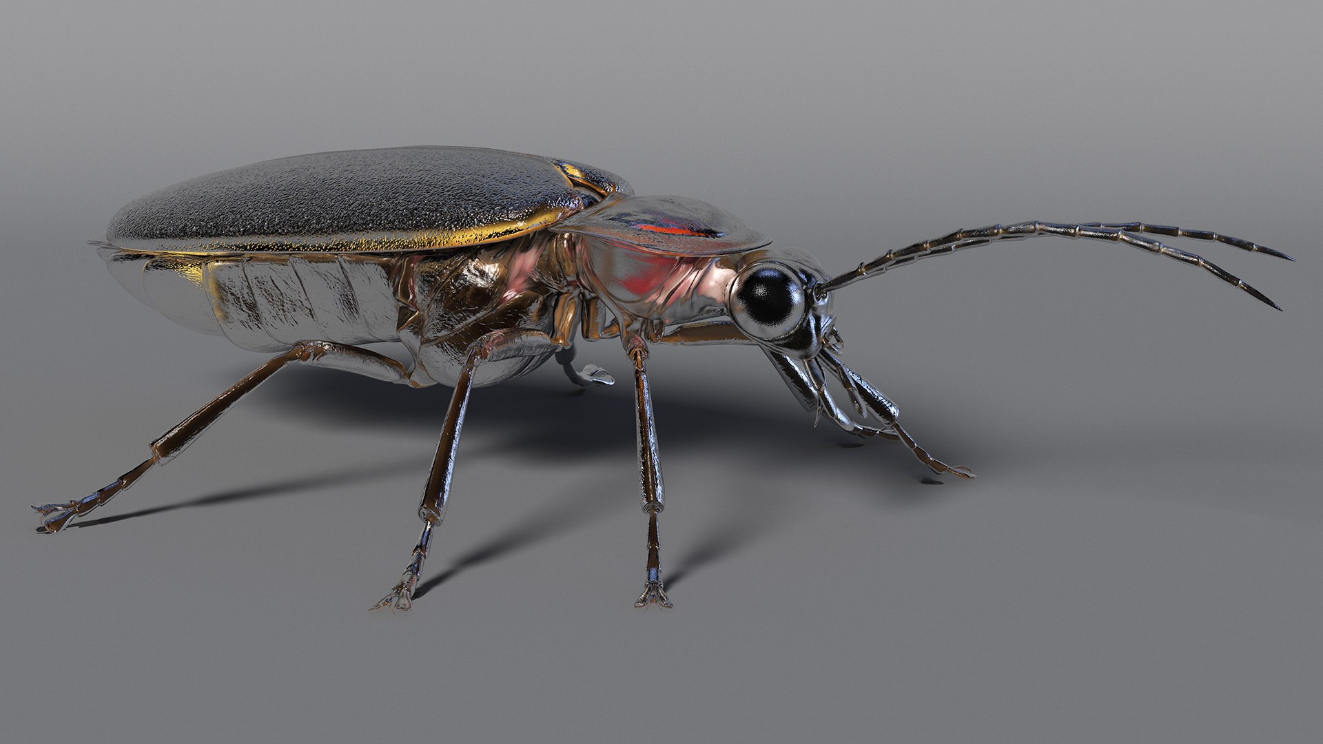 3D Model Firefly Crawling Pose - TurboSquid 2171939