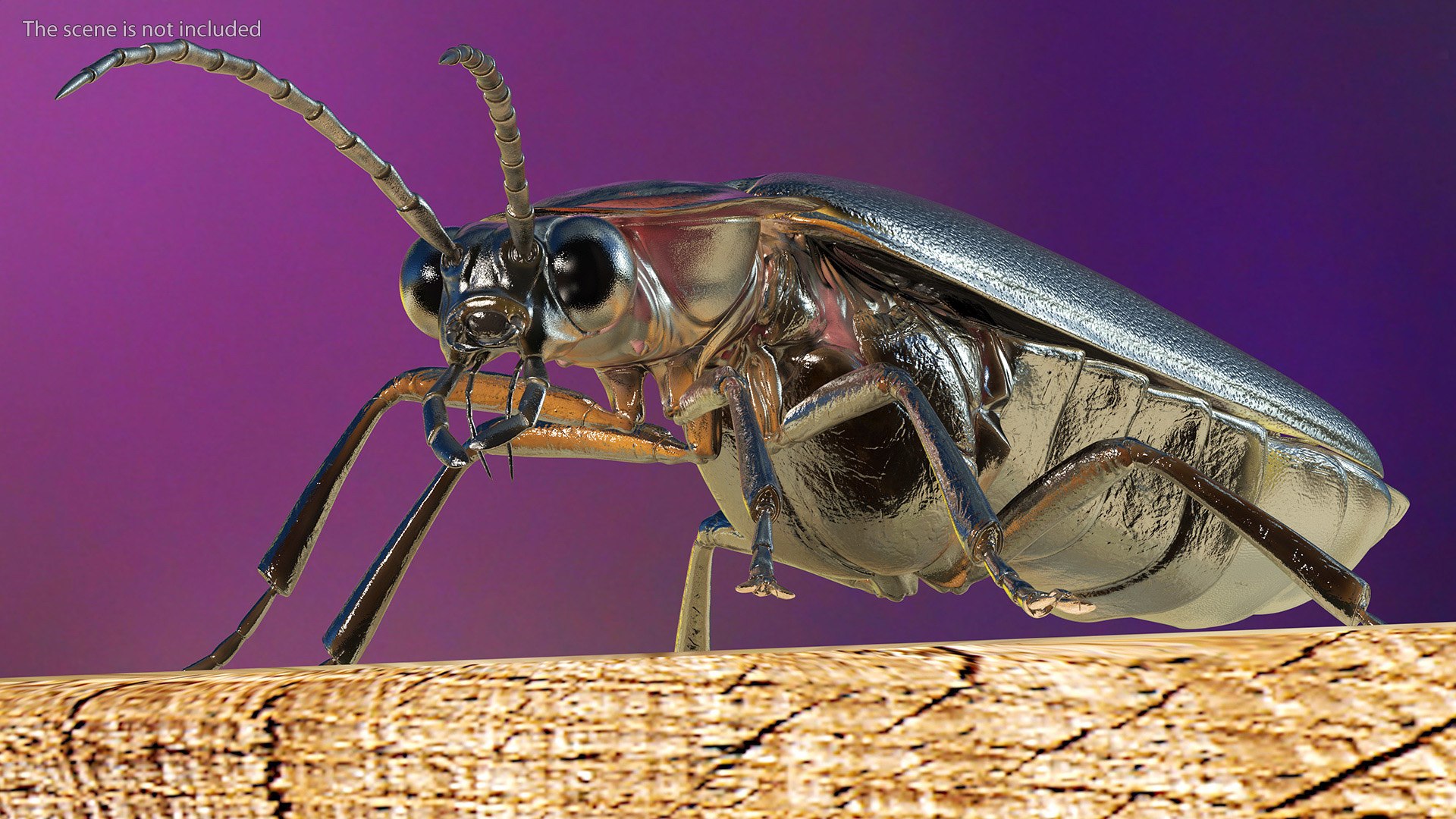 3D Model Firefly Crawling Pose - TurboSquid 2171939