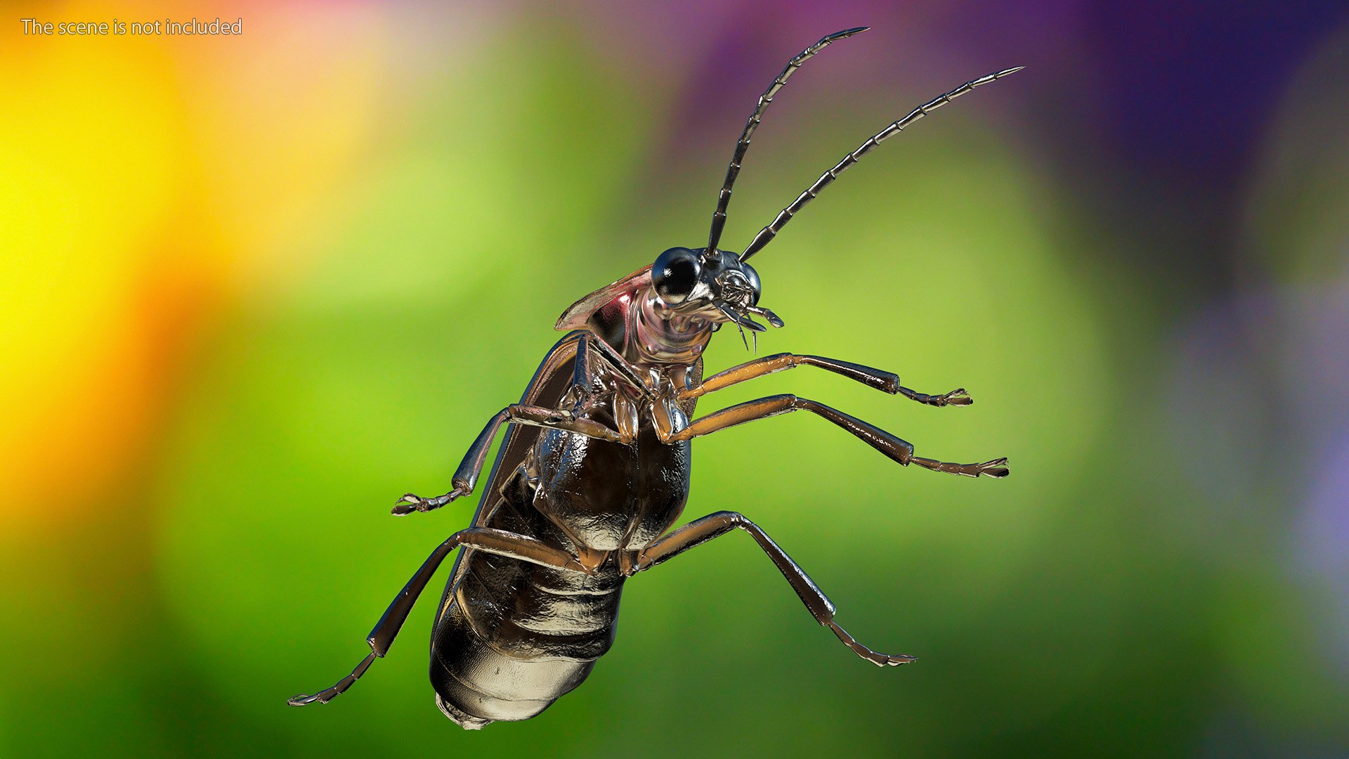 3D Model Firefly Crawling Pose - TurboSquid 2171939