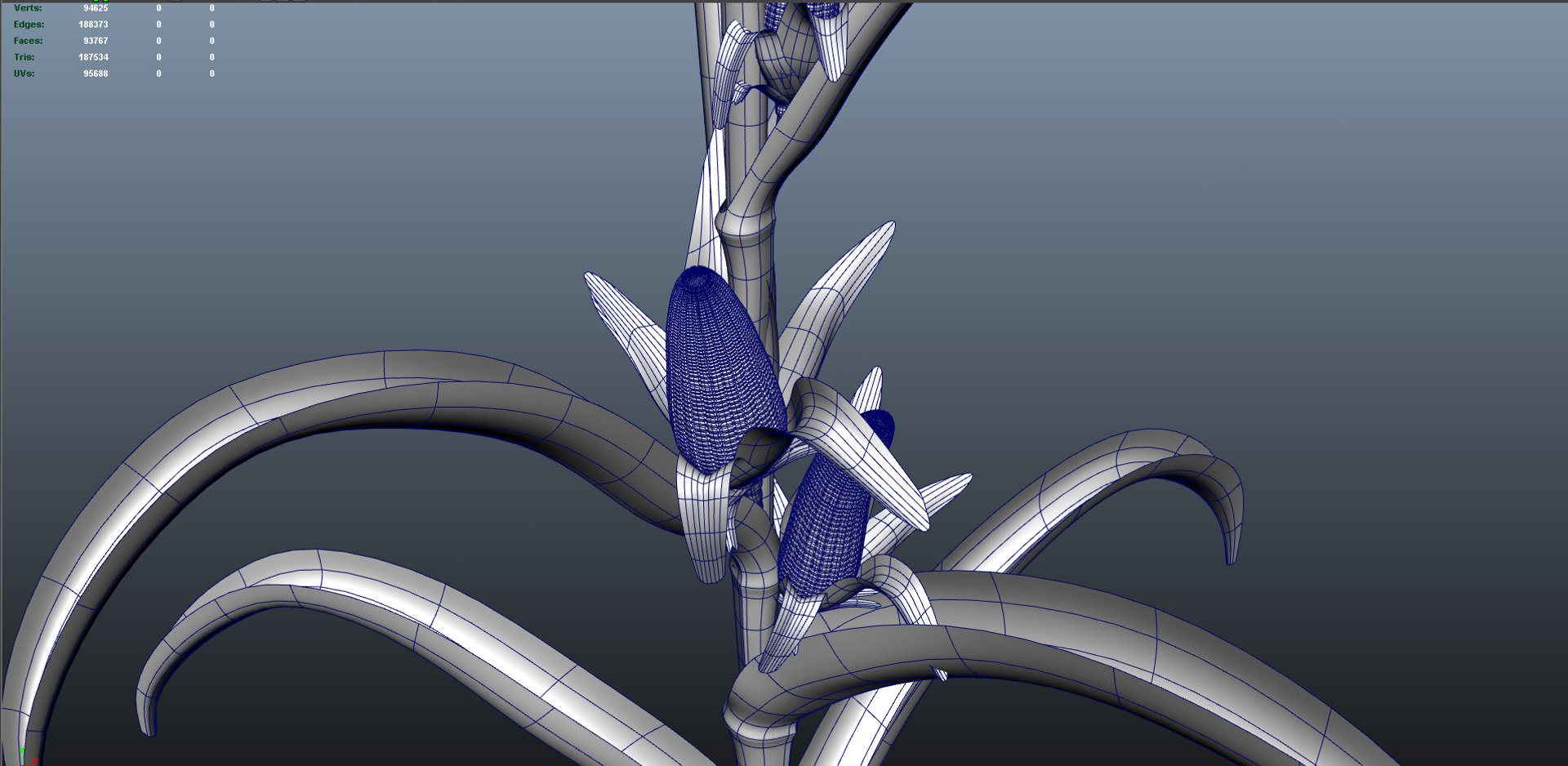 3D Maize Plant Model - TurboSquid 1238111