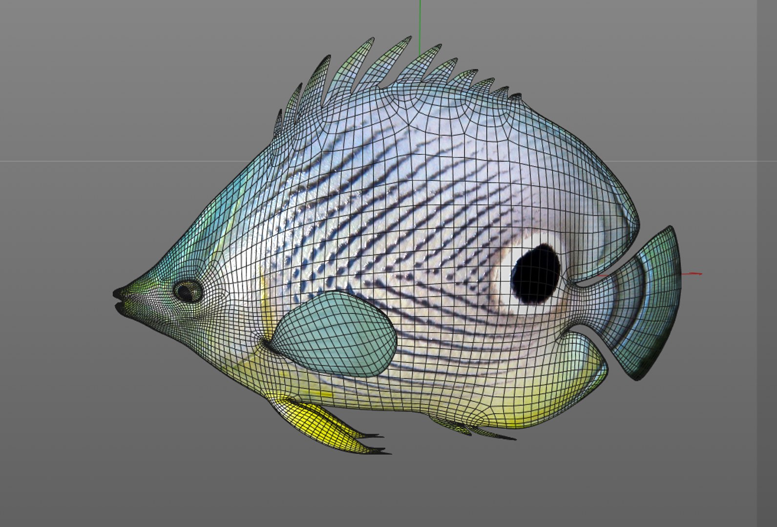 3D Model Fish - TurboSquid 1551936