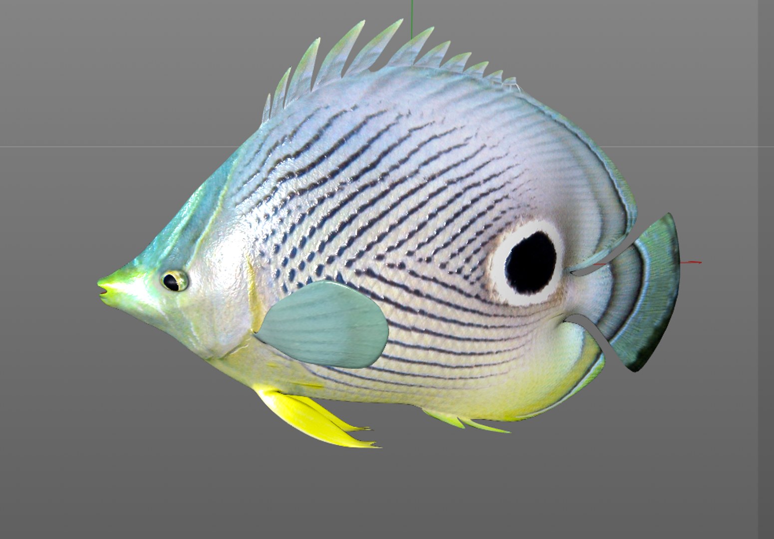3D Model Fish - TurboSquid 1551936