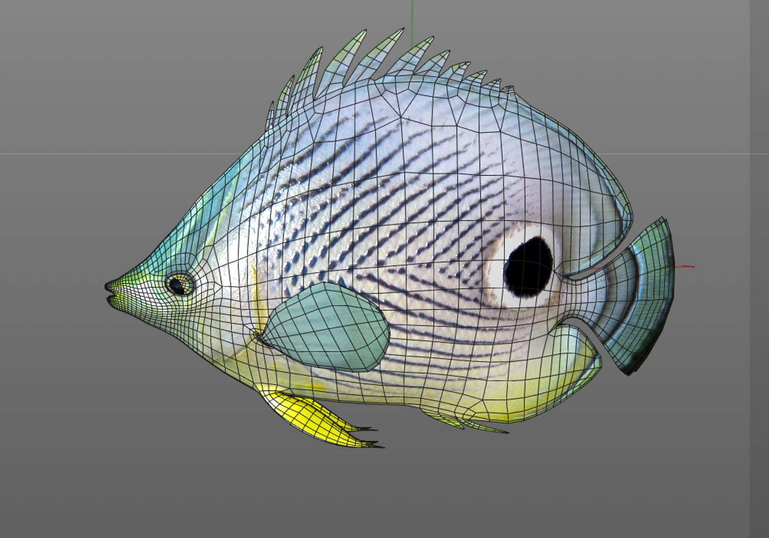 3D Model Fish - TurboSquid 1551936