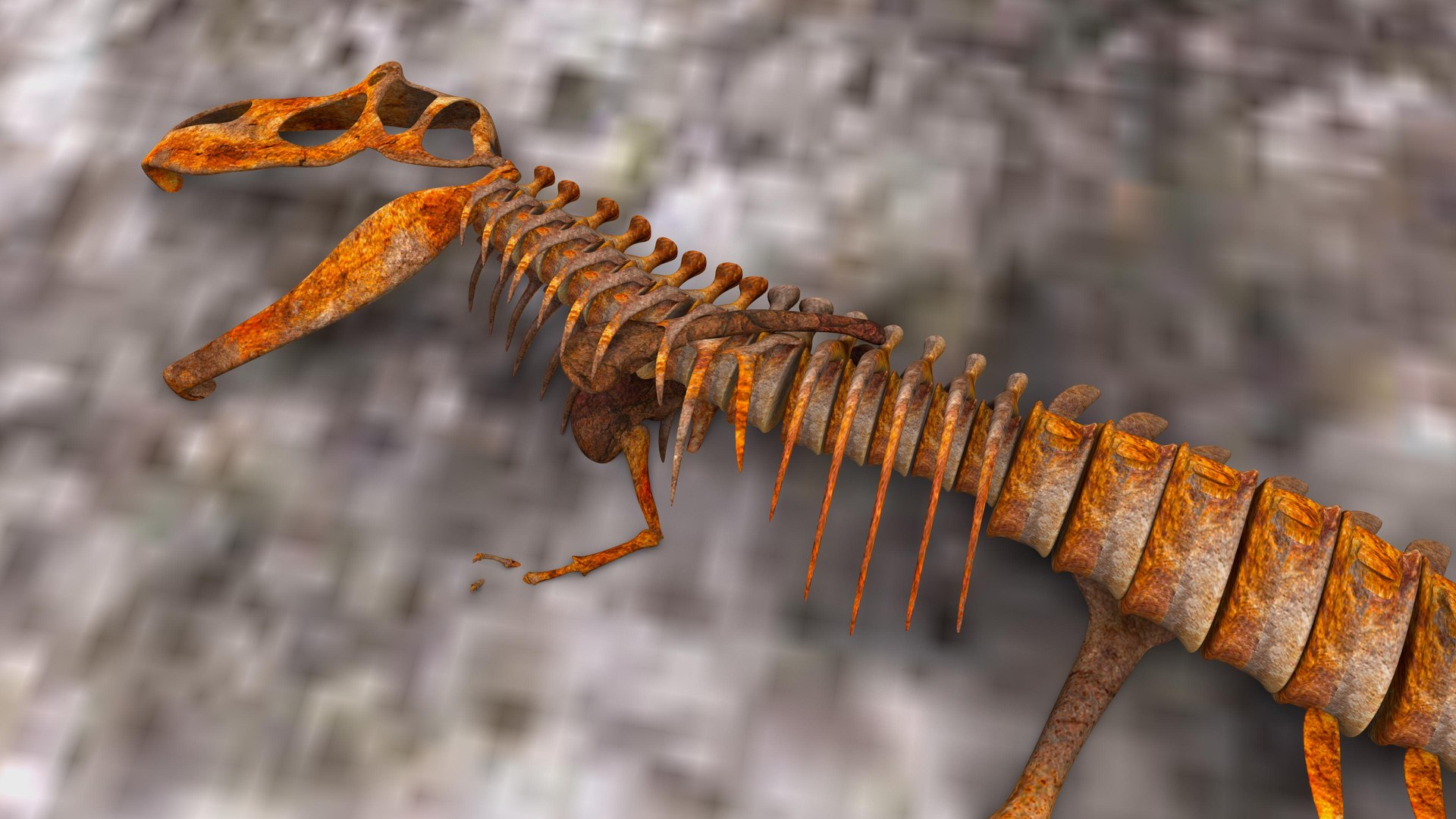 Skeleton Fossil Model - TurboSquid 1793890