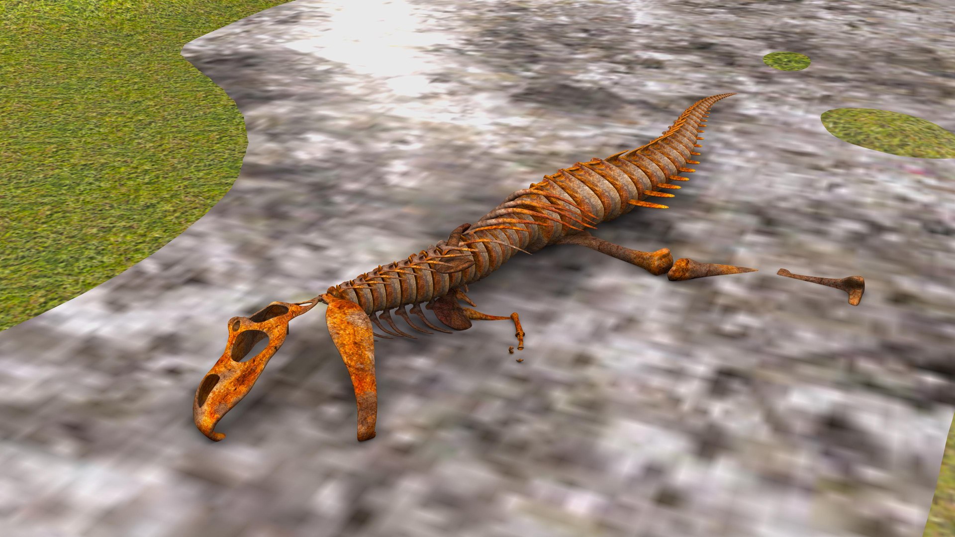 Skeleton Fossil Model - TurboSquid 1793890