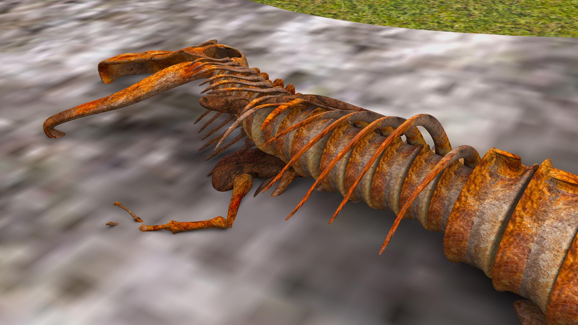 Skeleton Fossil Model - TurboSquid 1793890