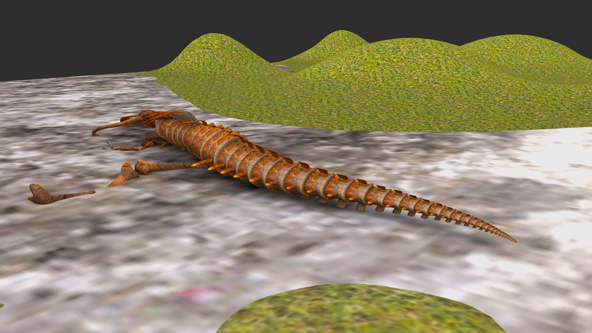 Skeleton Fossil Model - TurboSquid 1793890