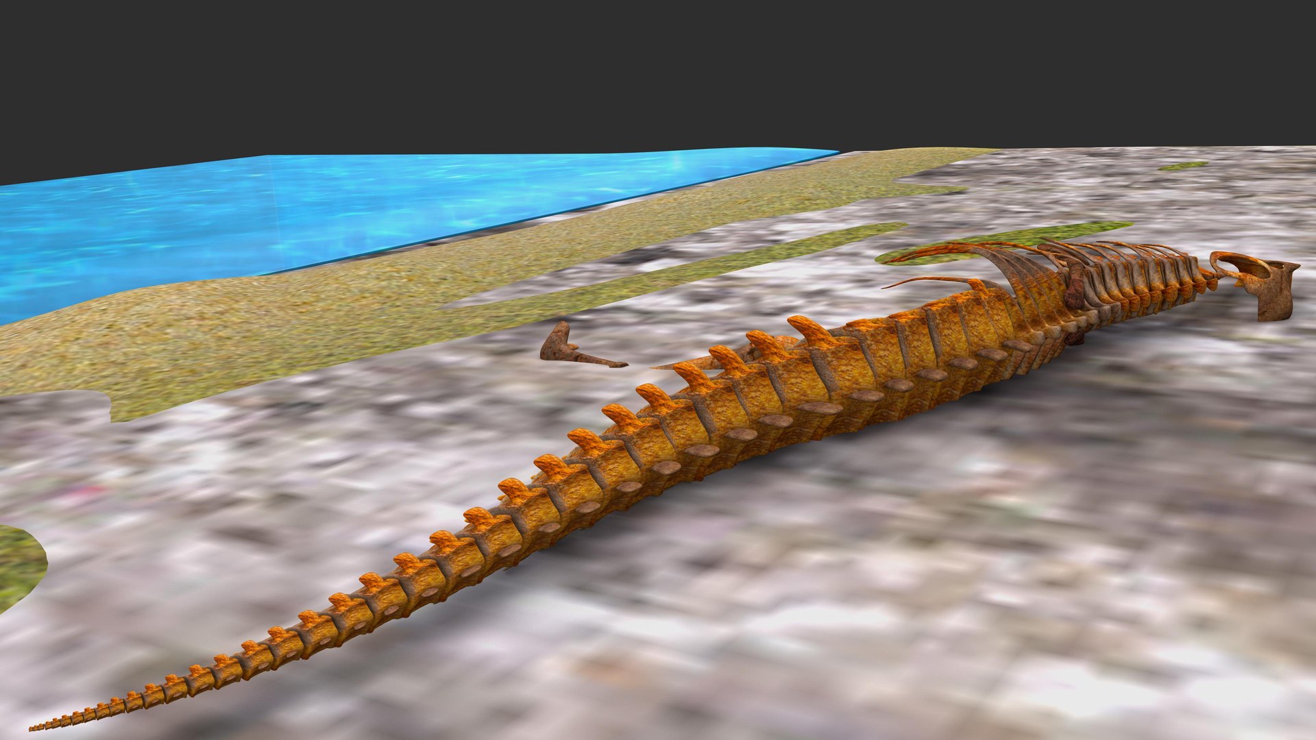 Skeleton Fossil Model - TurboSquid 1793890
