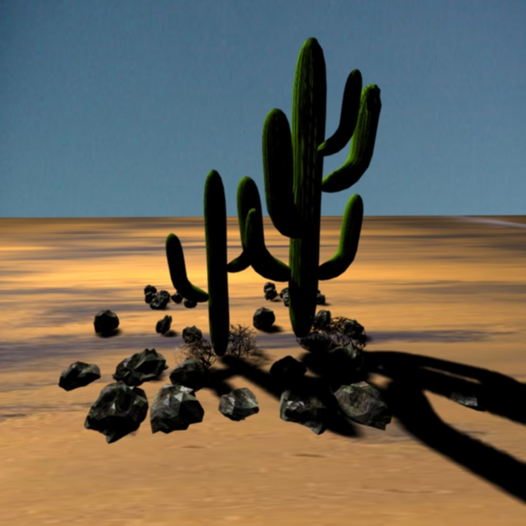 cactus tumbleweed rocks 3d model