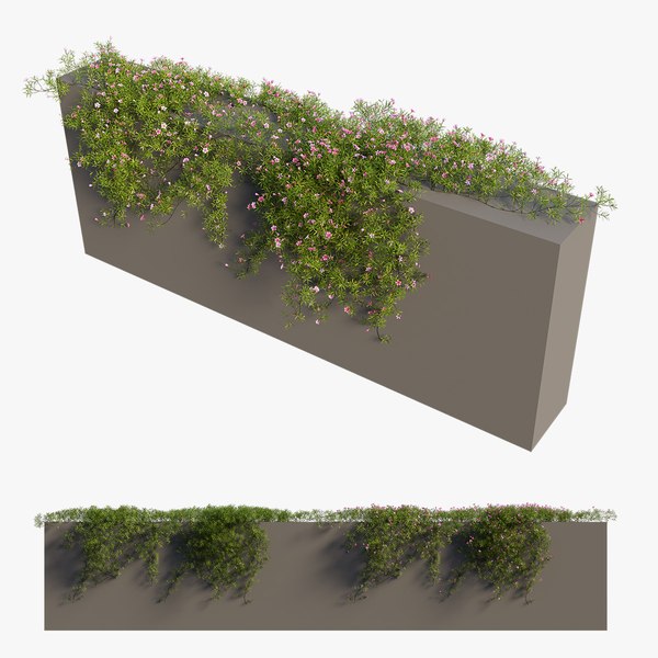 Window Planter 3D Models for Download | TurboSquid