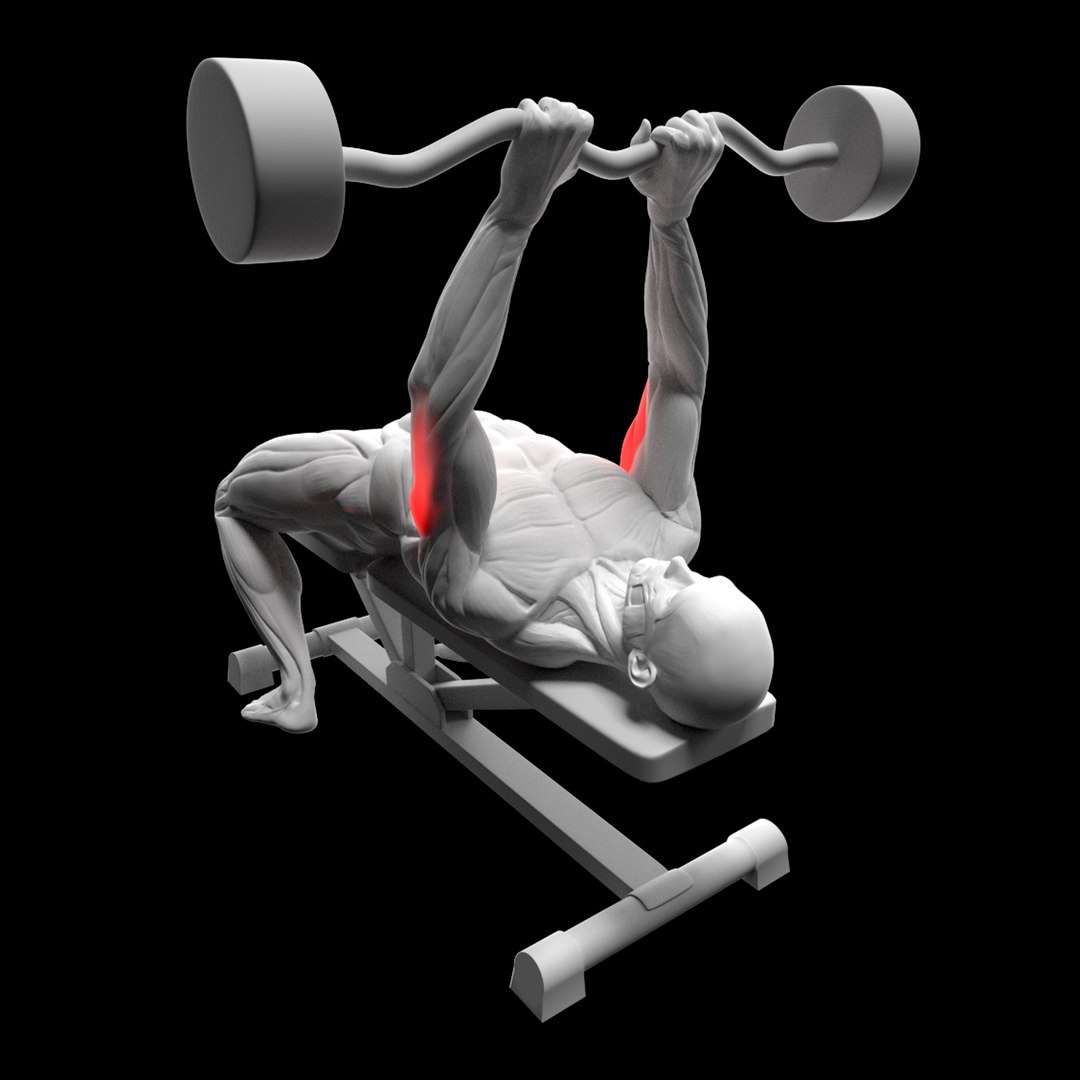 Triceps Barbell French Press 3D Model - TurboSquid 2228230