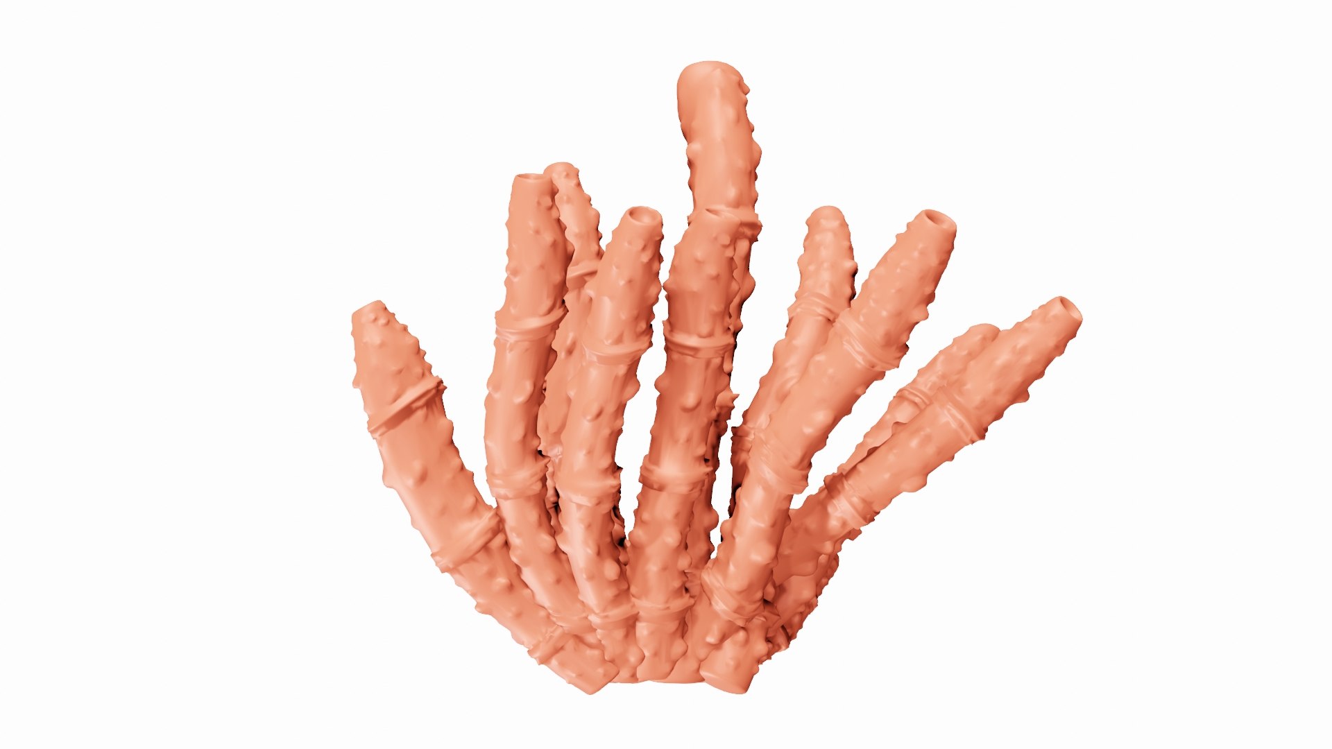 3D Tube Coral - TurboSquid 1825404