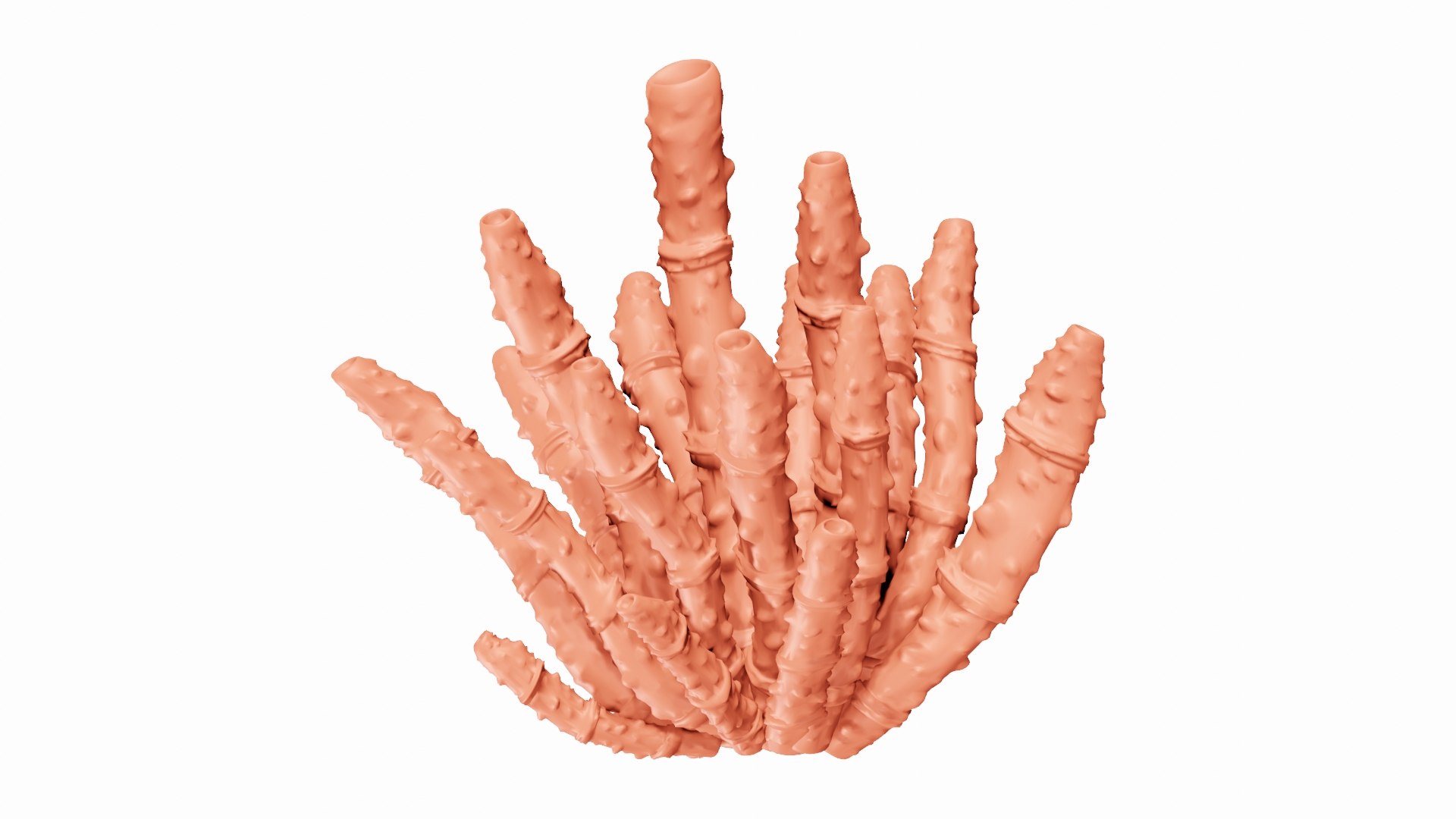 3D Tube Coral - TurboSquid 1825404