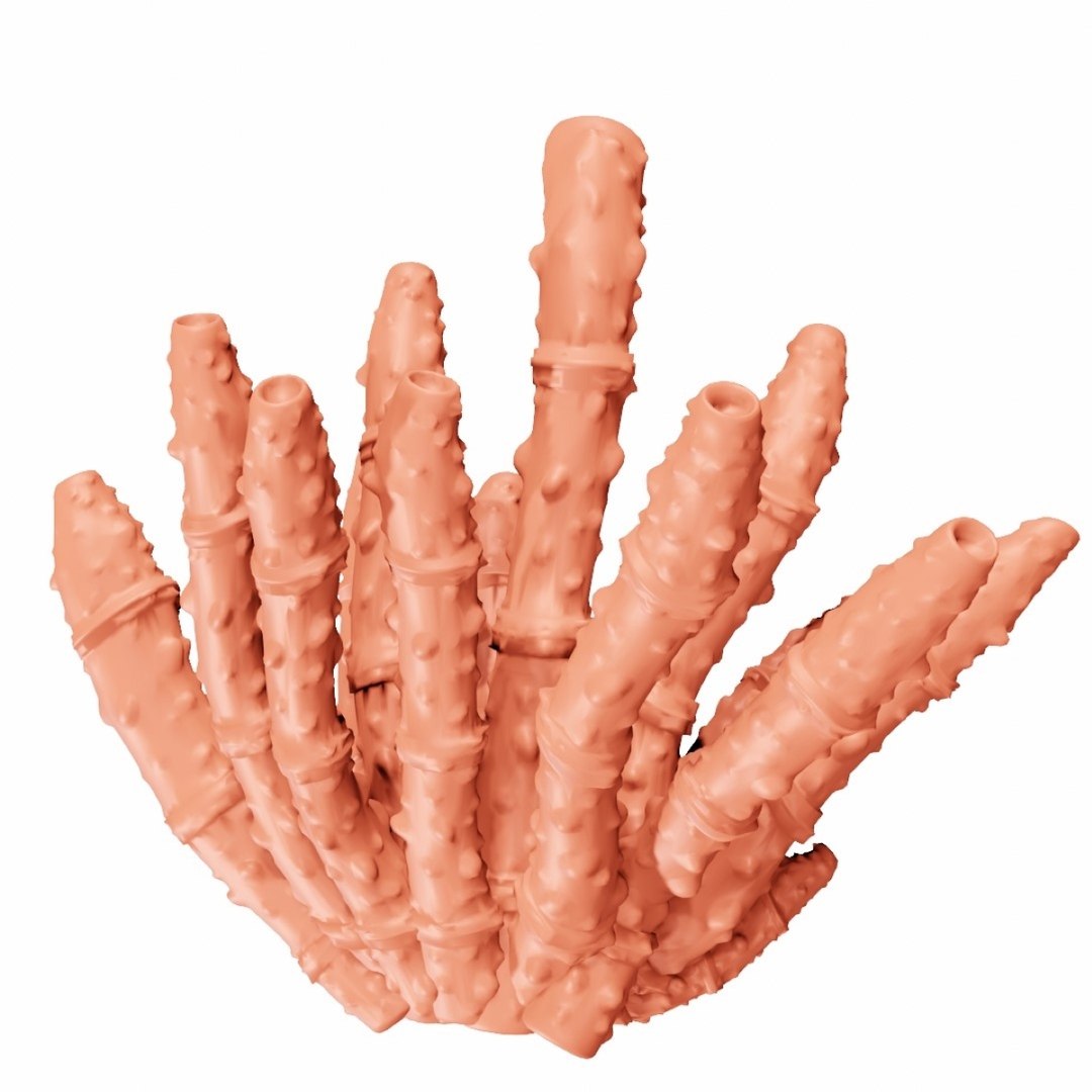 3D Tube Coral - TurboSquid 1825404