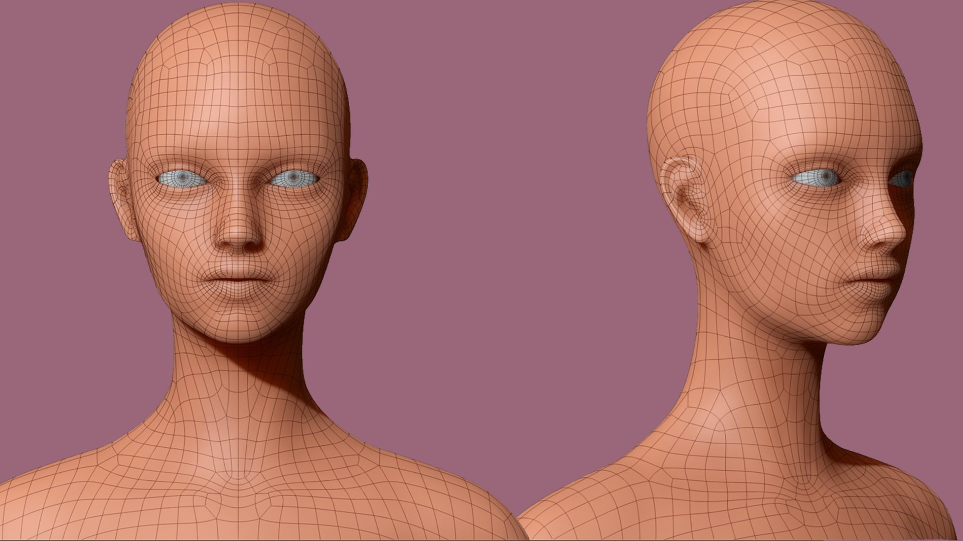 3D 3D Base Mesh - Female - With Retopology And UV Mapping Model ...