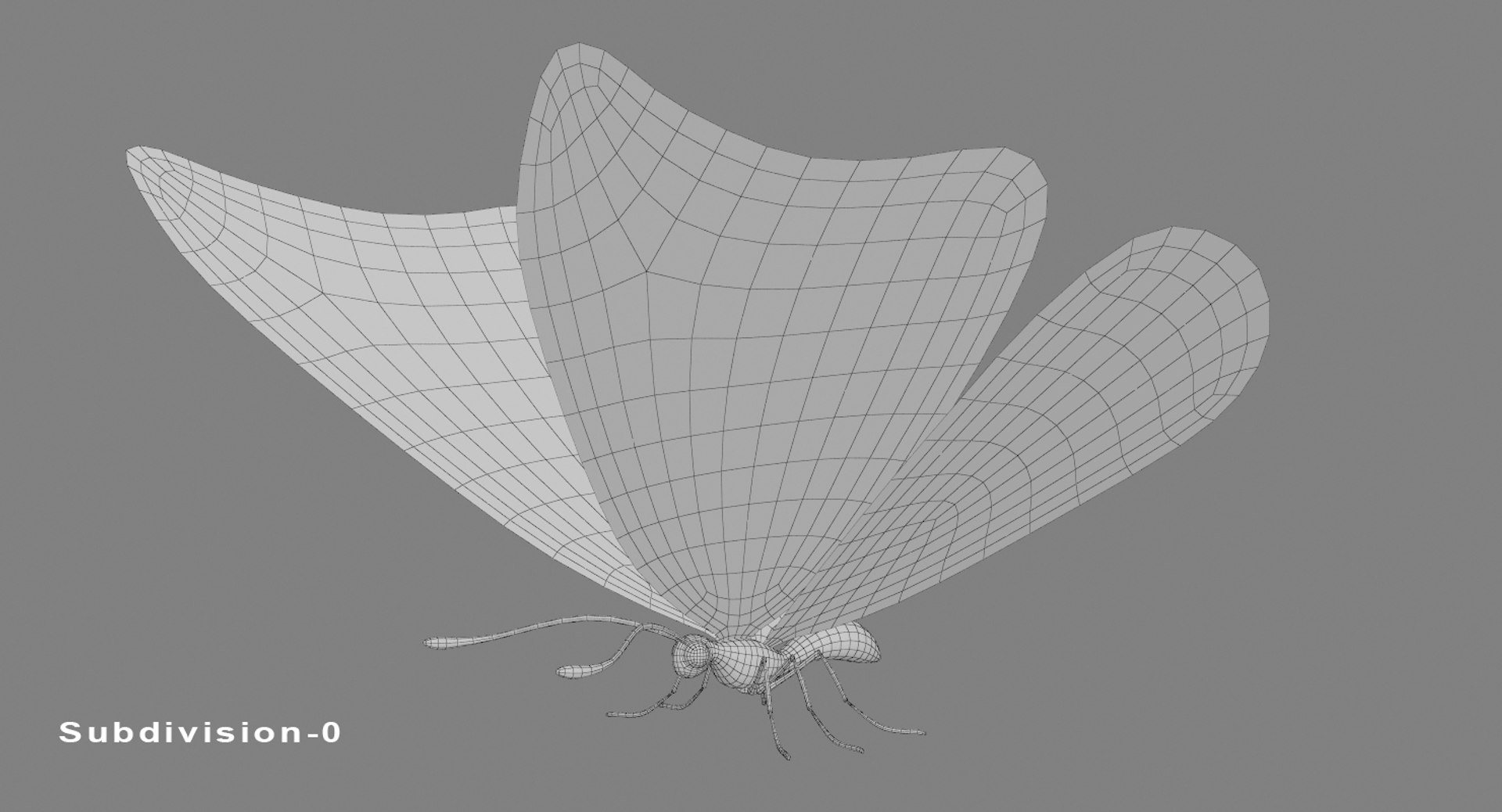 3d Beautiful Butterfly Cartoon Model