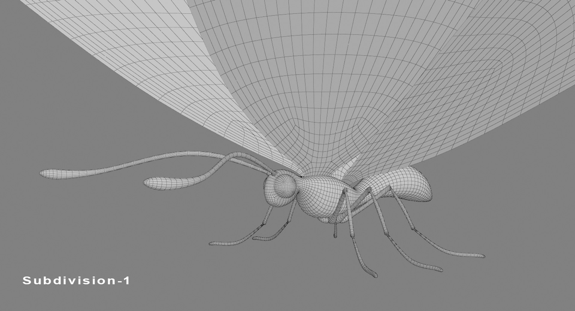3d Beautiful Butterfly Cartoon Model