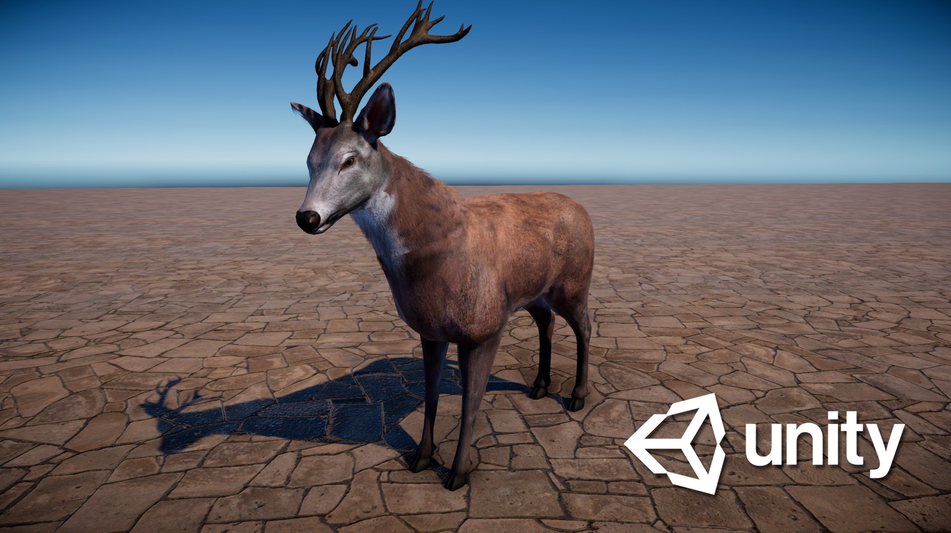 Lowpoly Deer With Fur model - TurboSquid 1780297