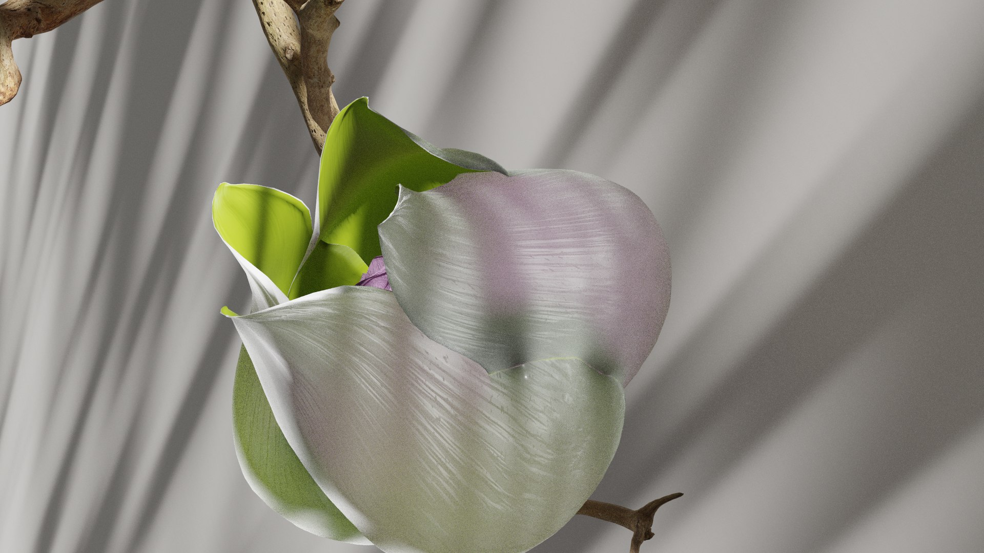 Blooming Rose Animation 3D Model - TurboSquid 2232452