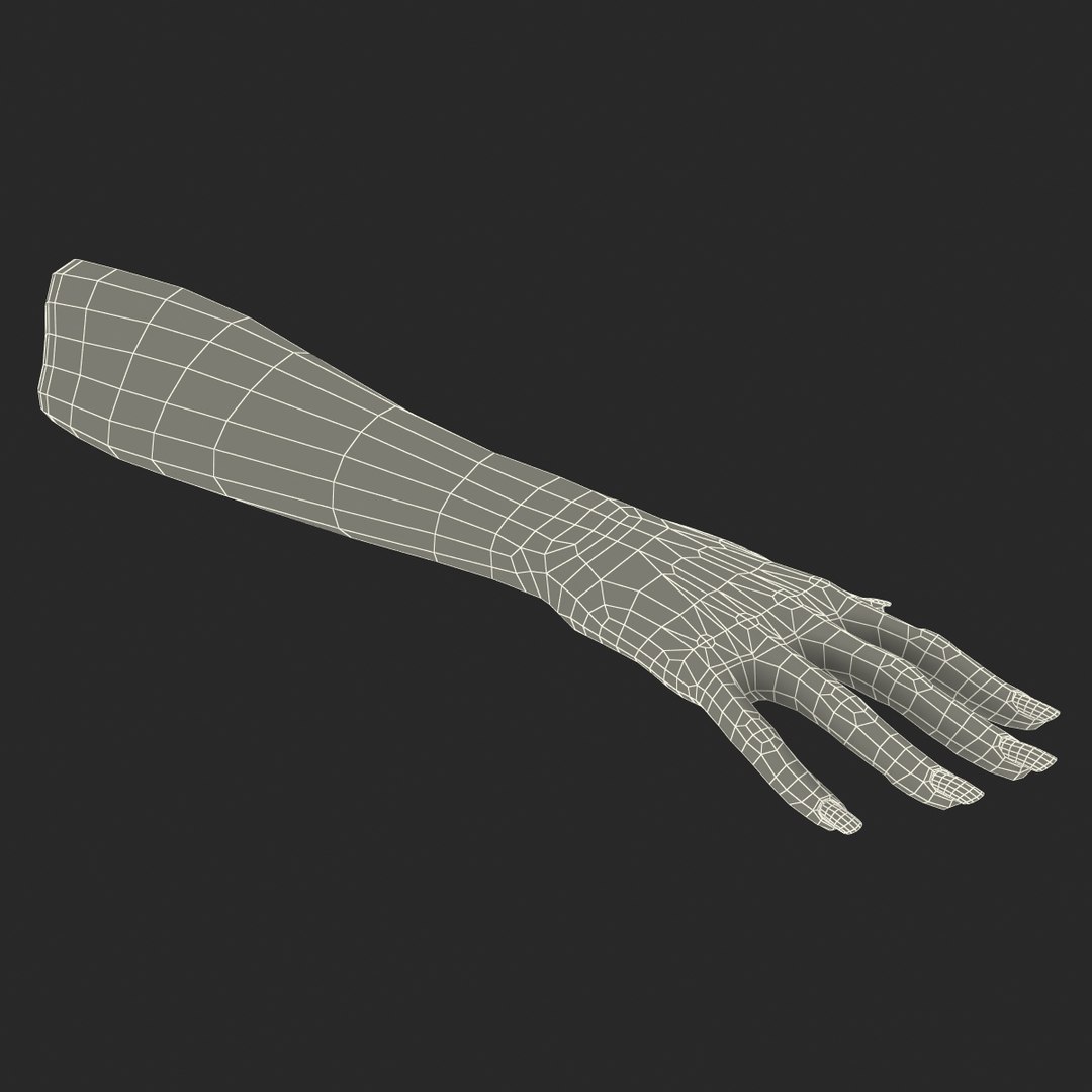 female hand 2 3d model