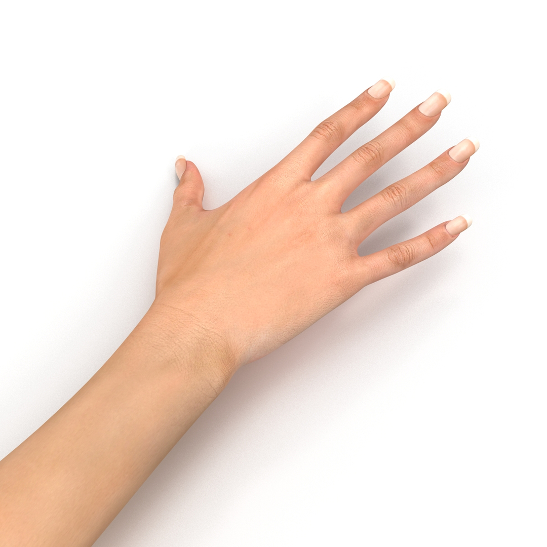 female hand 2 3d model