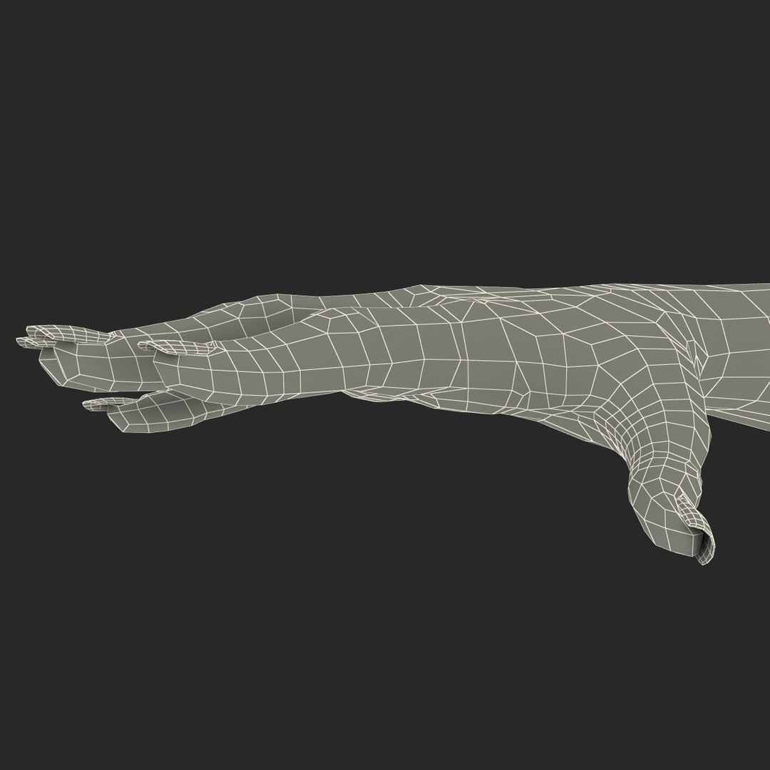 female hand 2 3d model