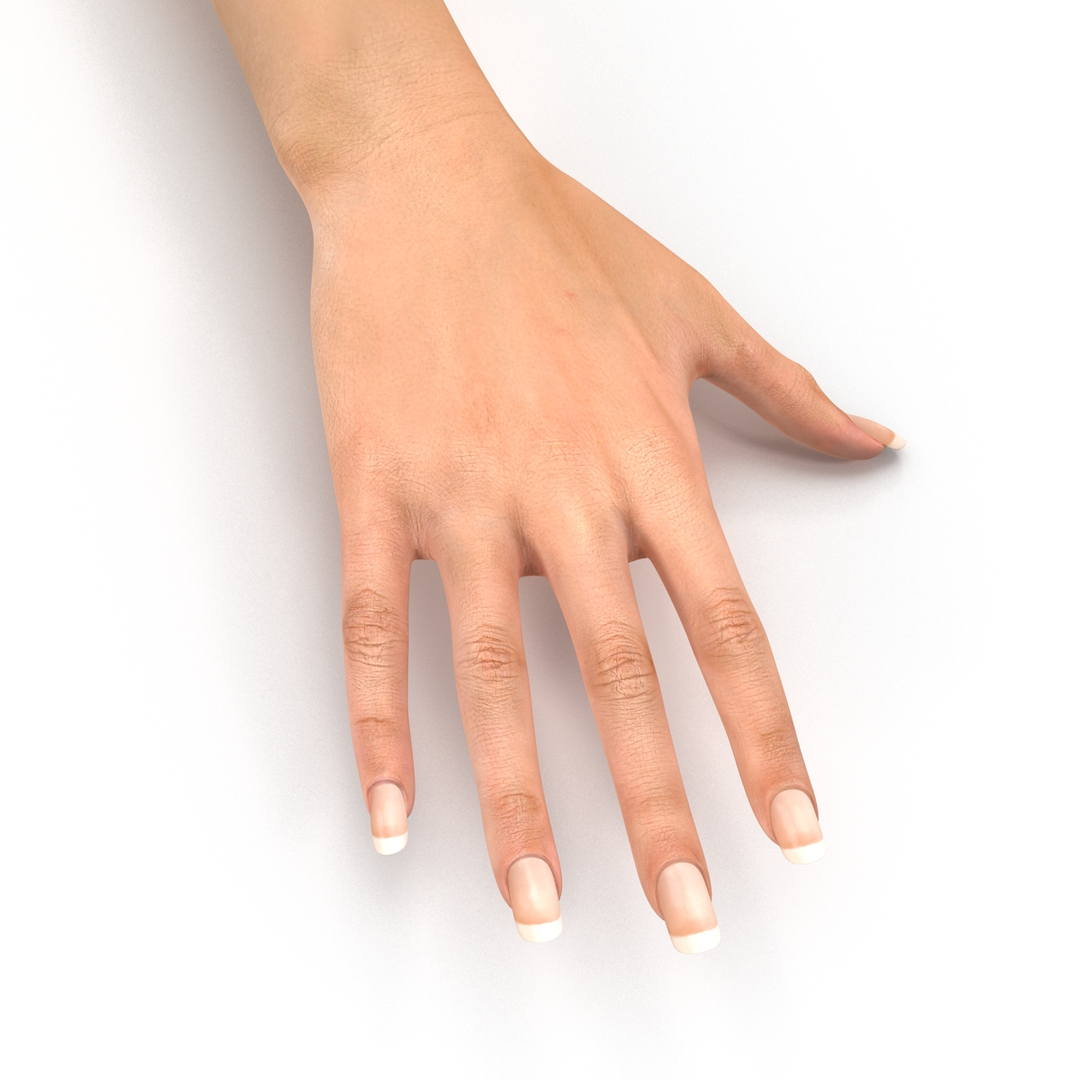 female hand 2 3d model