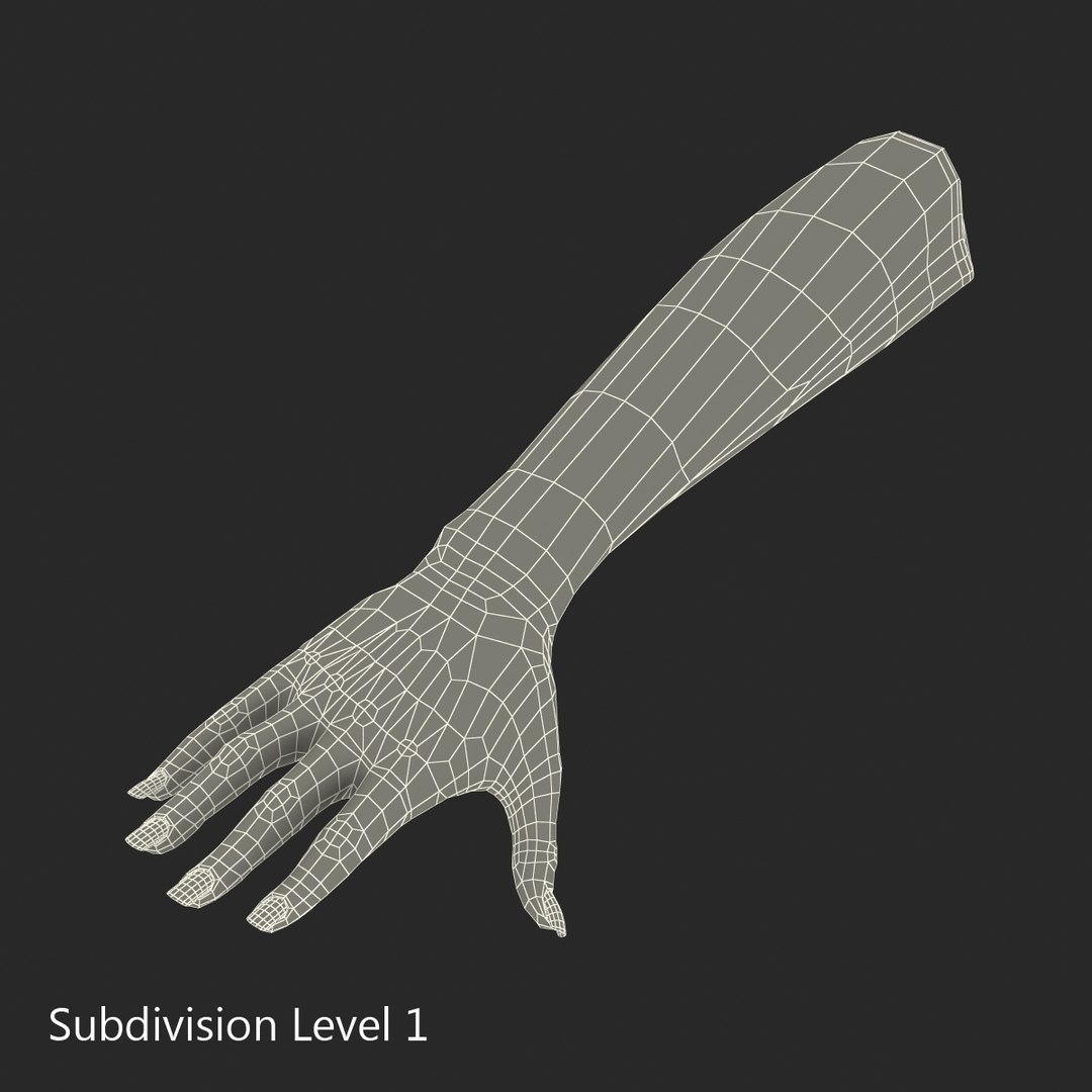 female hand 2 3d model