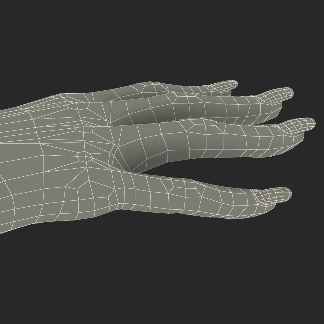 female hand 2 3d model