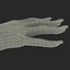 Female Hand 2 3d Model