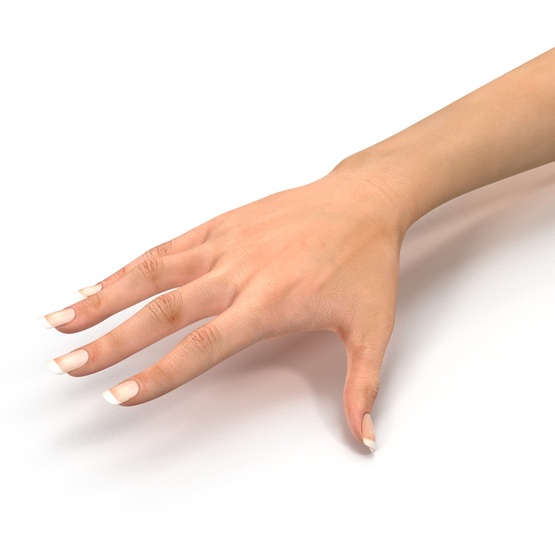 female hand 2 3d model