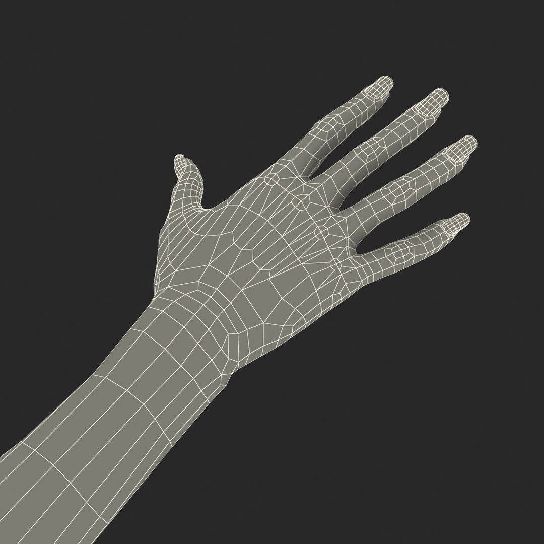 female hand 2 3d model