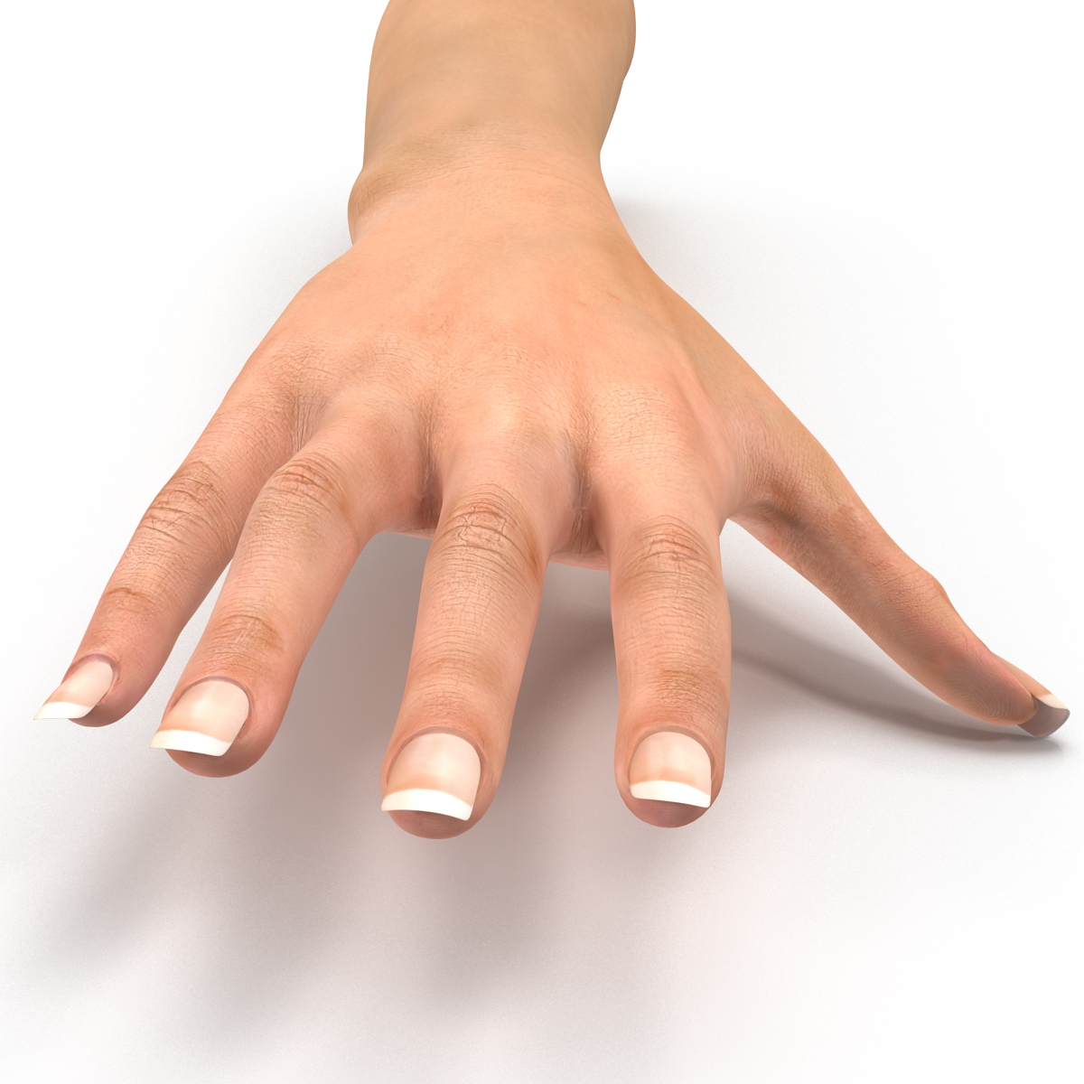 female hand 2 3d model