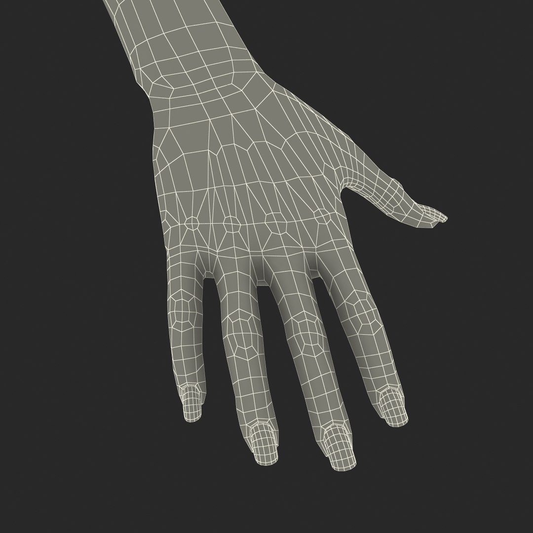 female hand 2 3d model