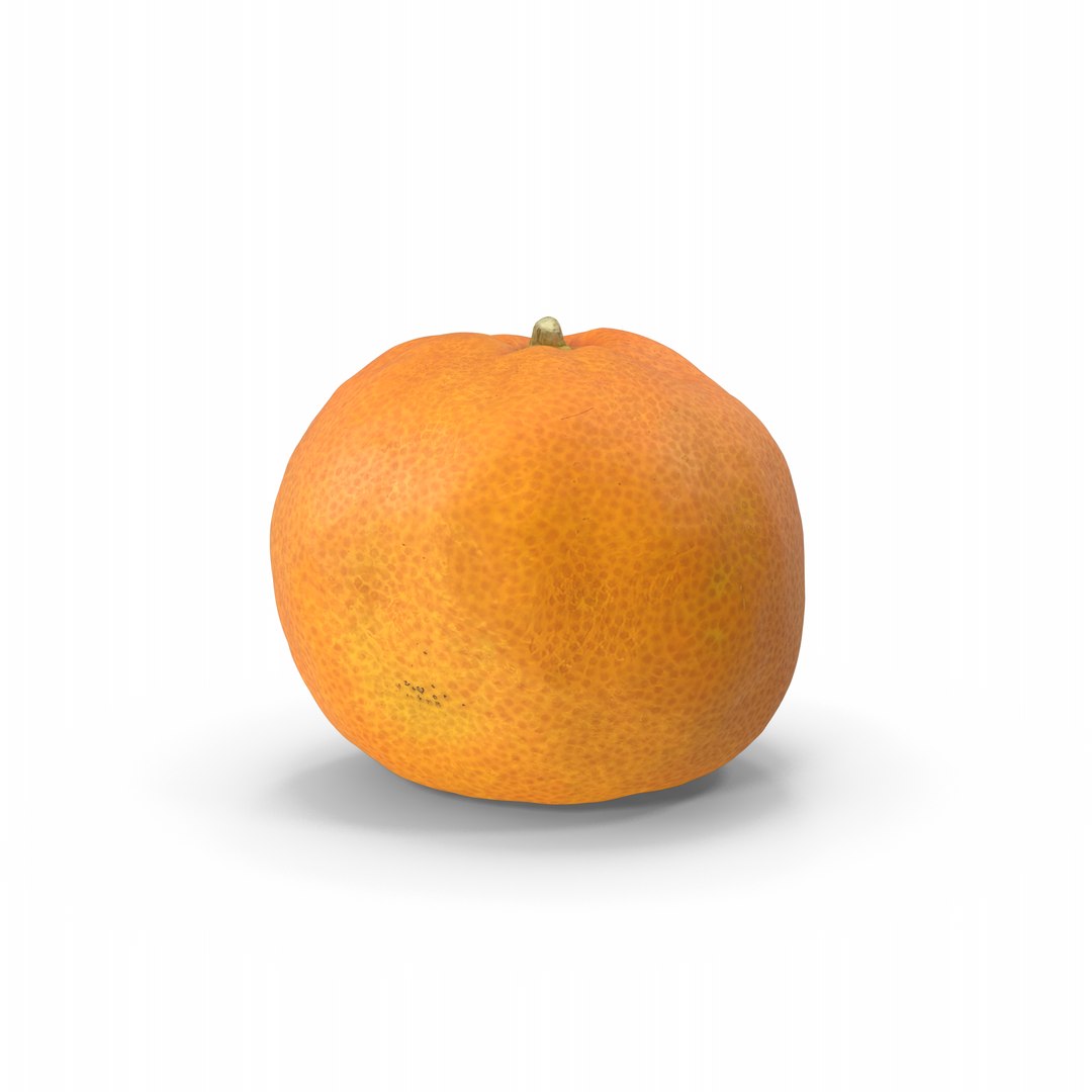 3D Mandarin - TurboSquid 2401032