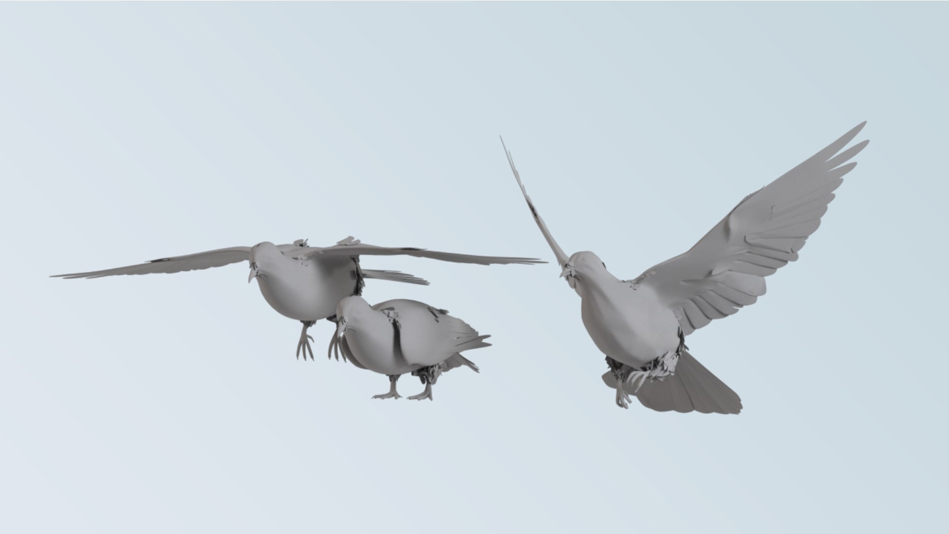 3D Bird - TurboSquid 2238083