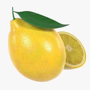 Lemon Blender Models for Download | TurboSquid