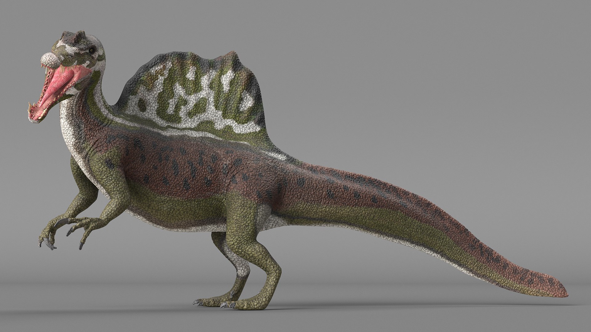Jurassic Reptile Spinosaurus Green Roaring Pose 3D - TurboSquid 2270185