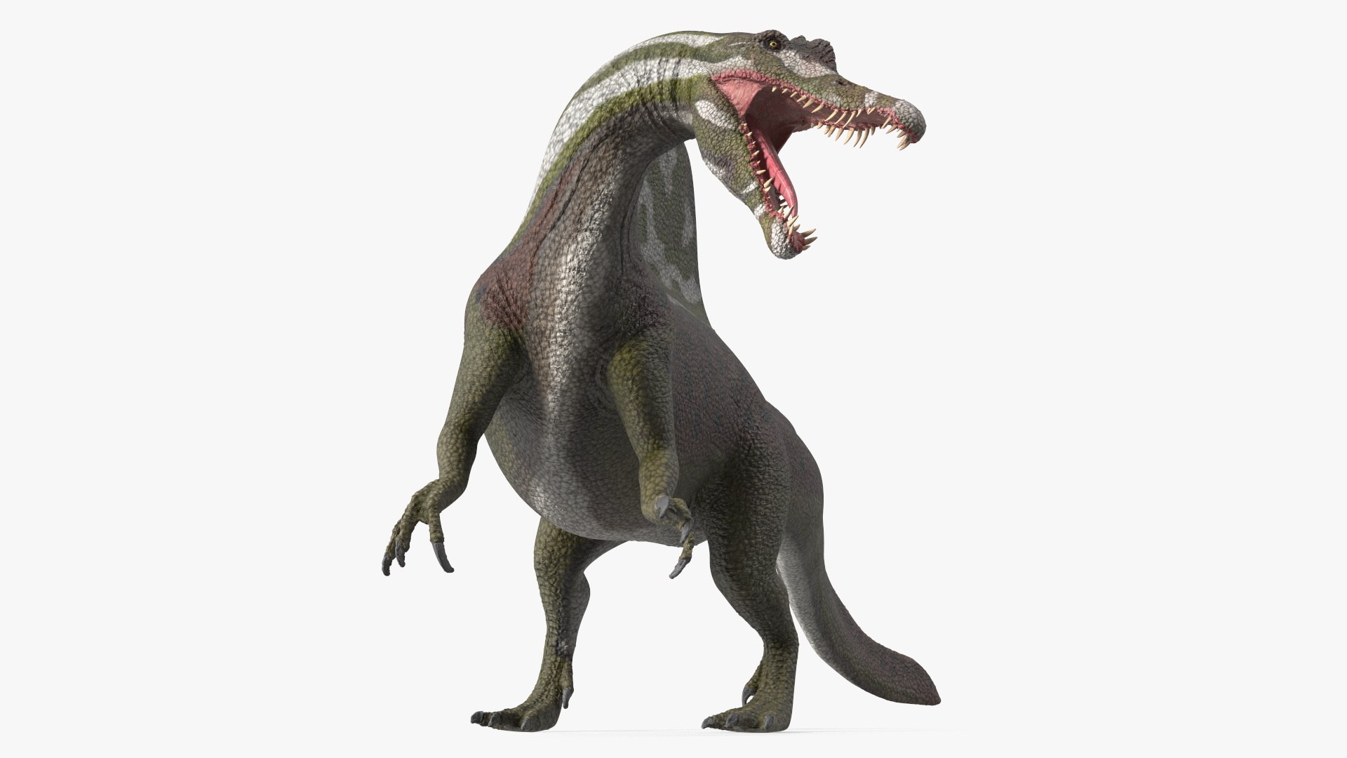 Jurassic Reptile Spinosaurus Green Roaring Pose 3D - TurboSquid 2270185