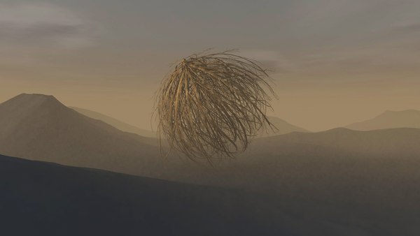 3D tumble weed tumbleweed - TurboSquid 1678064