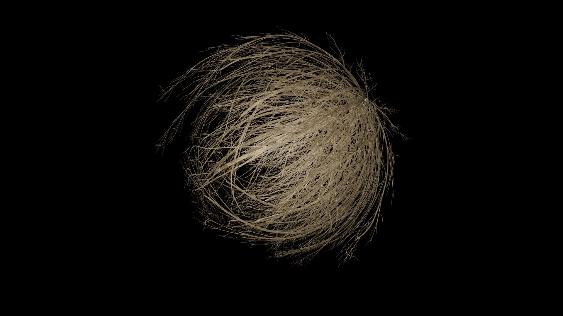 3D Tumble Weed Tumbleweed - TurboSquid 1678064