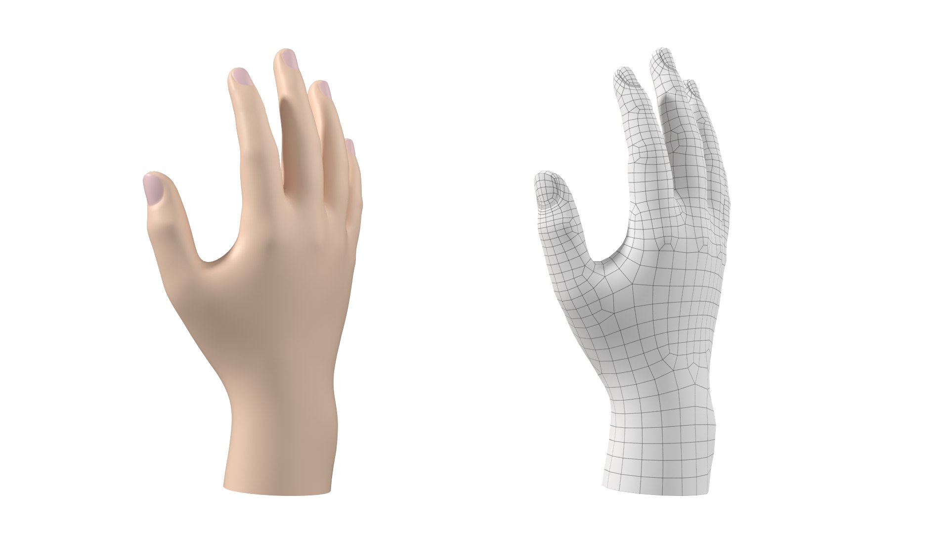Endomorph Male Hand Base Mesh 02 3D model - TurboSquid 1804698