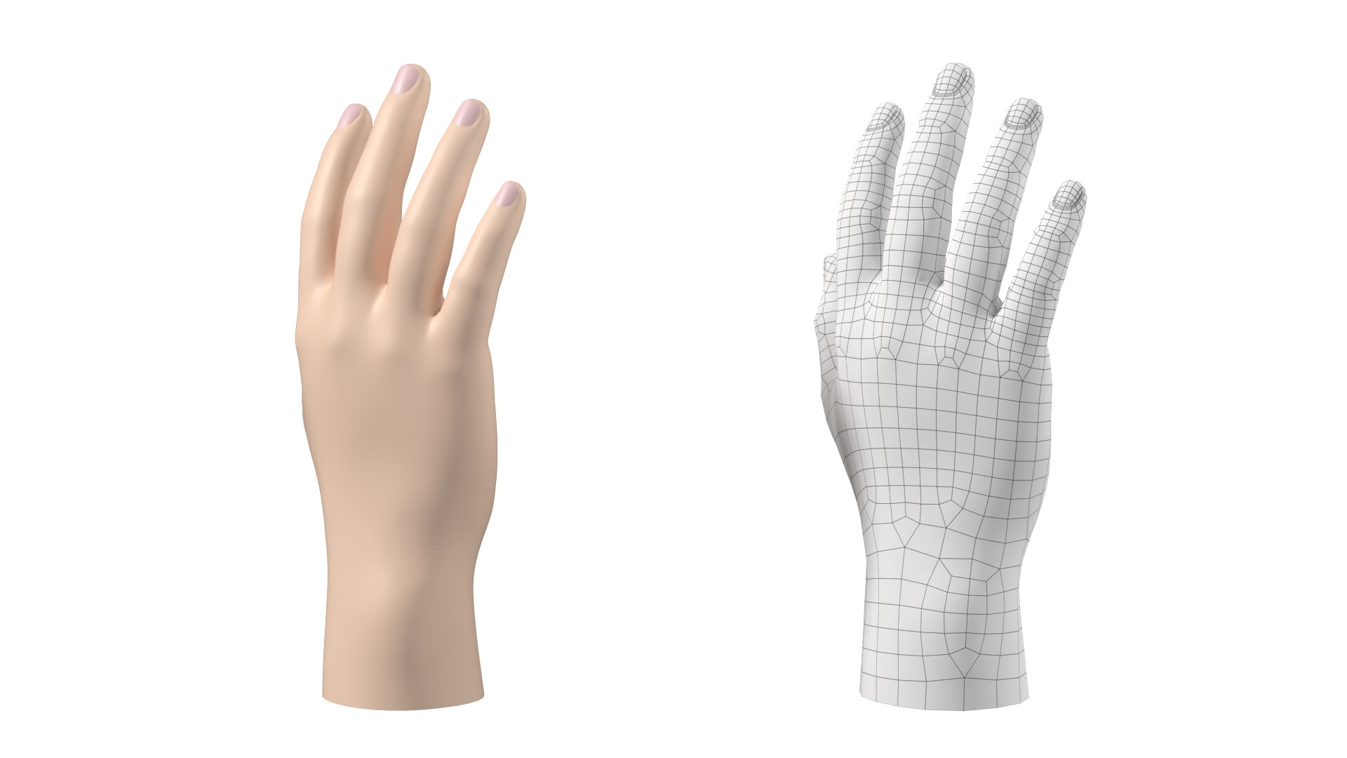 Endomorph Male Hand Base Mesh 02 3D model - TurboSquid 1804698