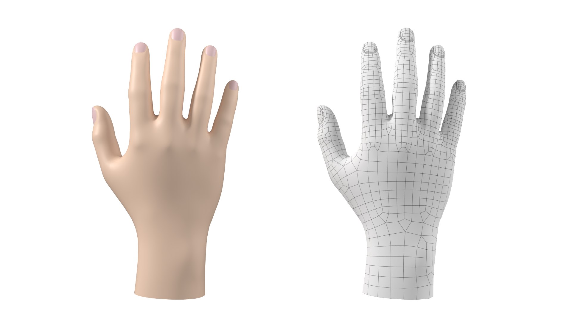 Endomorph Male Hand Base Mesh 02 3D model - TurboSquid 1804698