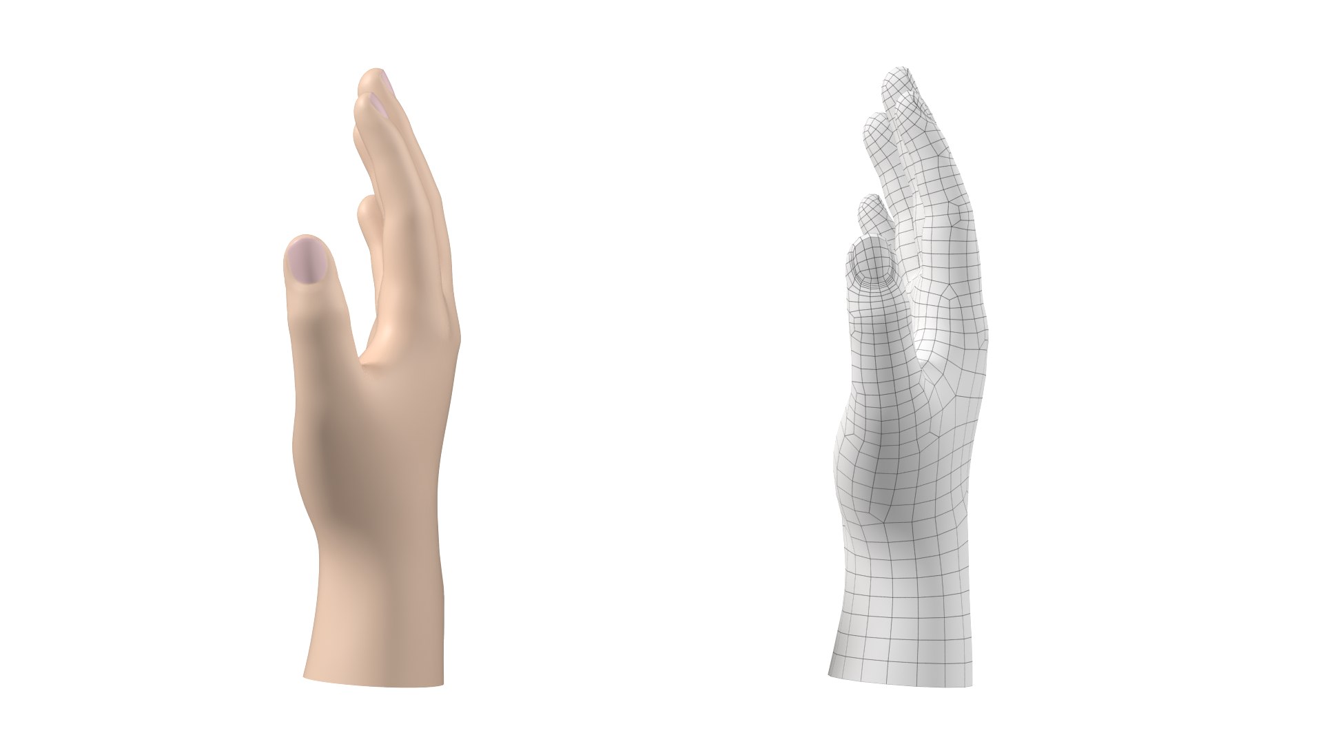 Endomorph Male Hand Base Mesh 02 3D model - TurboSquid 1804698