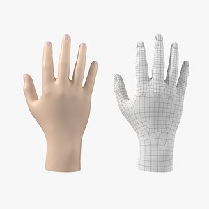 Blender Hand Models | TurboSquid