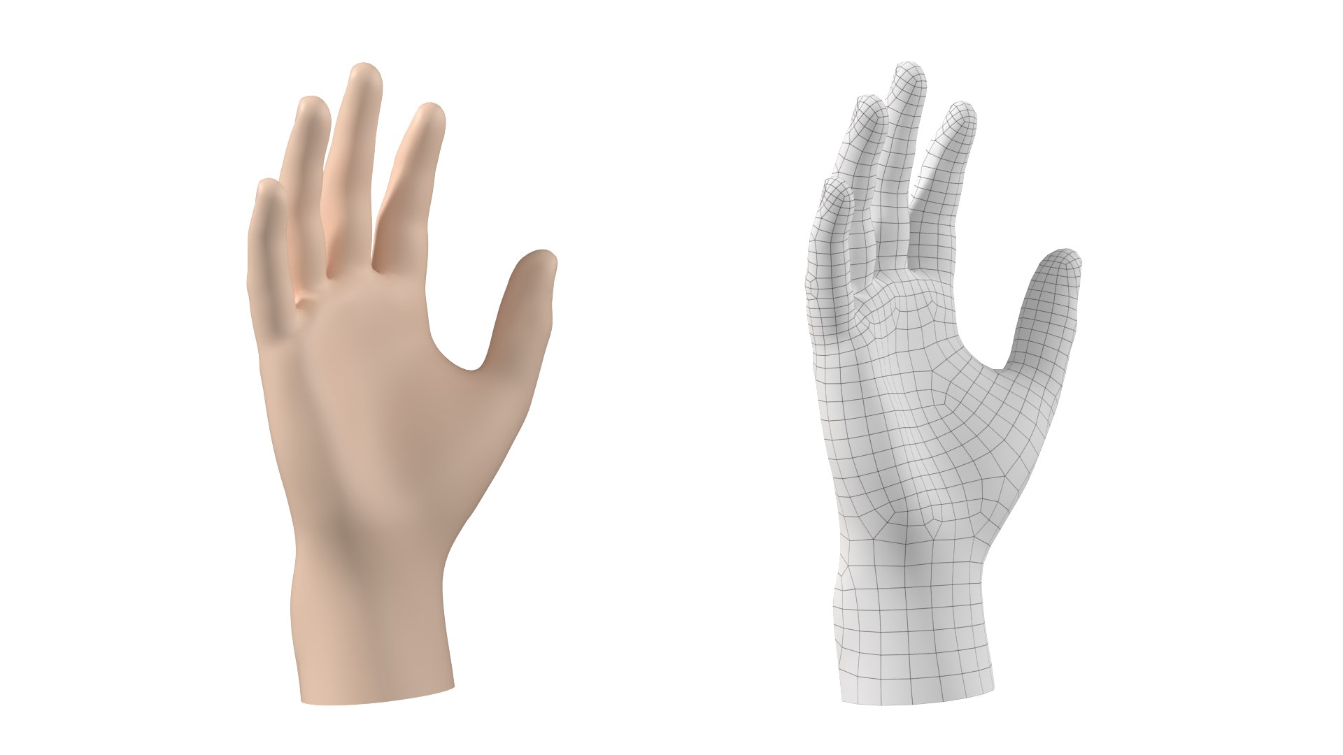 Endomorph Male Hand Base Mesh 02 3D model - TurboSquid 1804698
