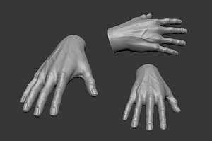 3D hand zbrush - TurboSquid 1152682