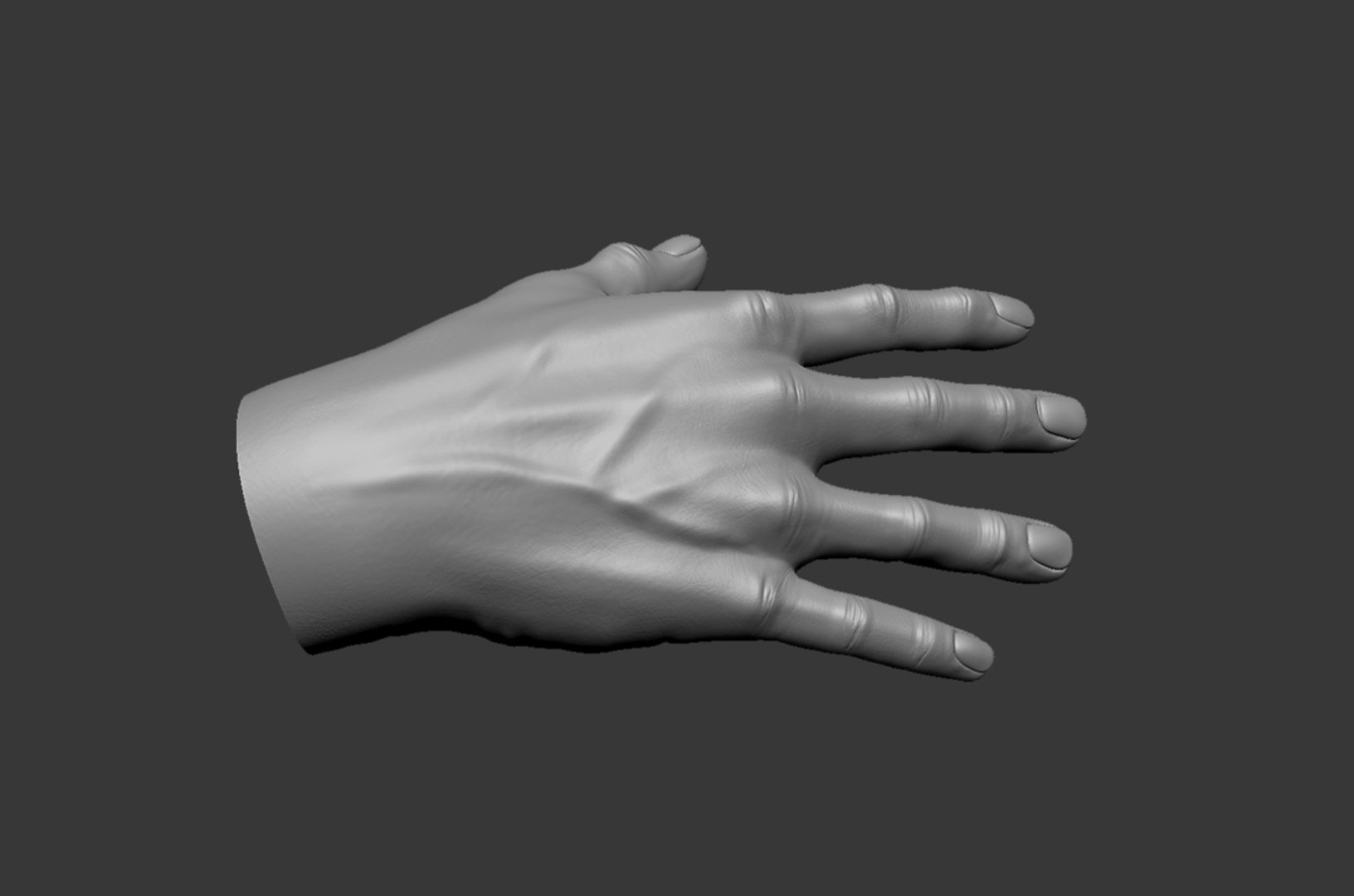 3D model realistic male hand - TurboSquid 1419143