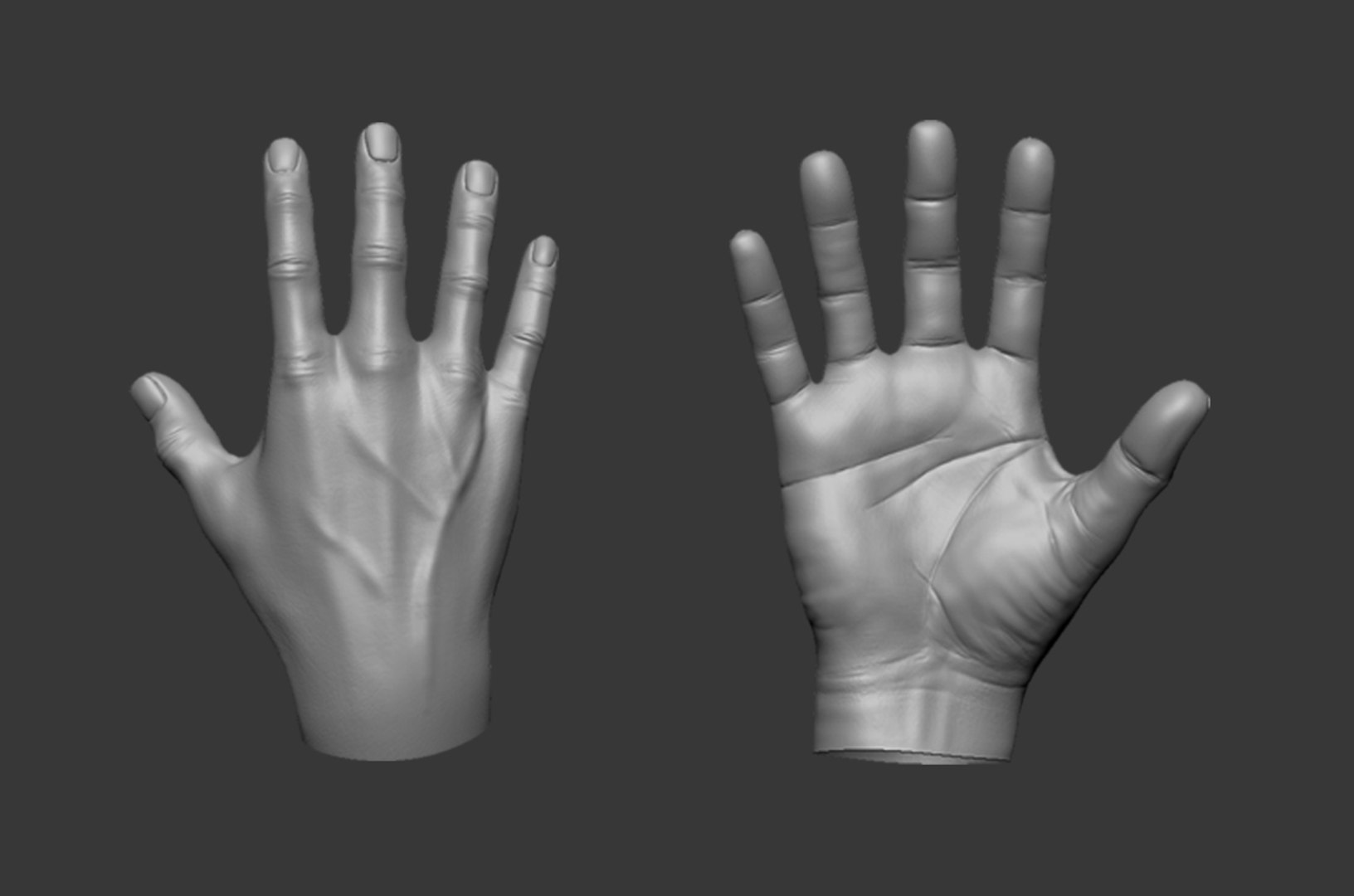 3D model realistic male hand - TurboSquid 1419143